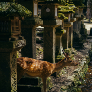 Writing Classes & Literary Programs | Hugo House